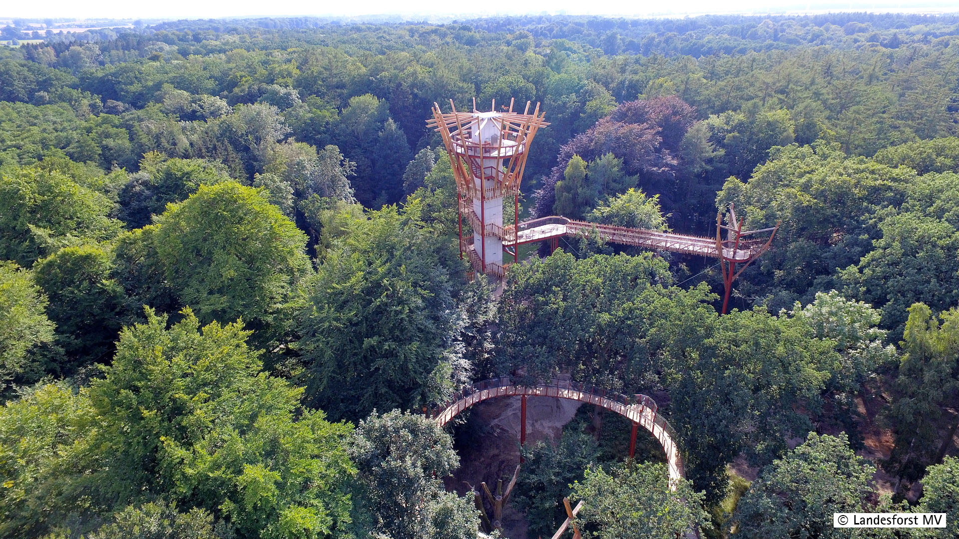 Nationales Naturmonument Ivenacker Eichen - AzubiCard Neubrandenburg