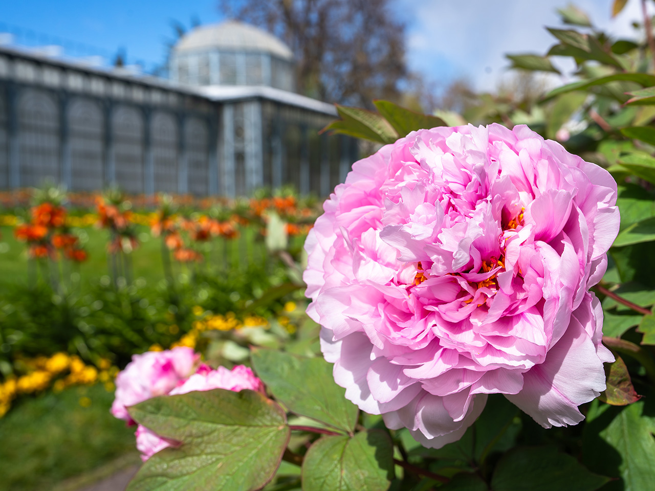 Die Wilhelma – Zoologisch-Botanischer Garten Stuttgart - AzubiCard